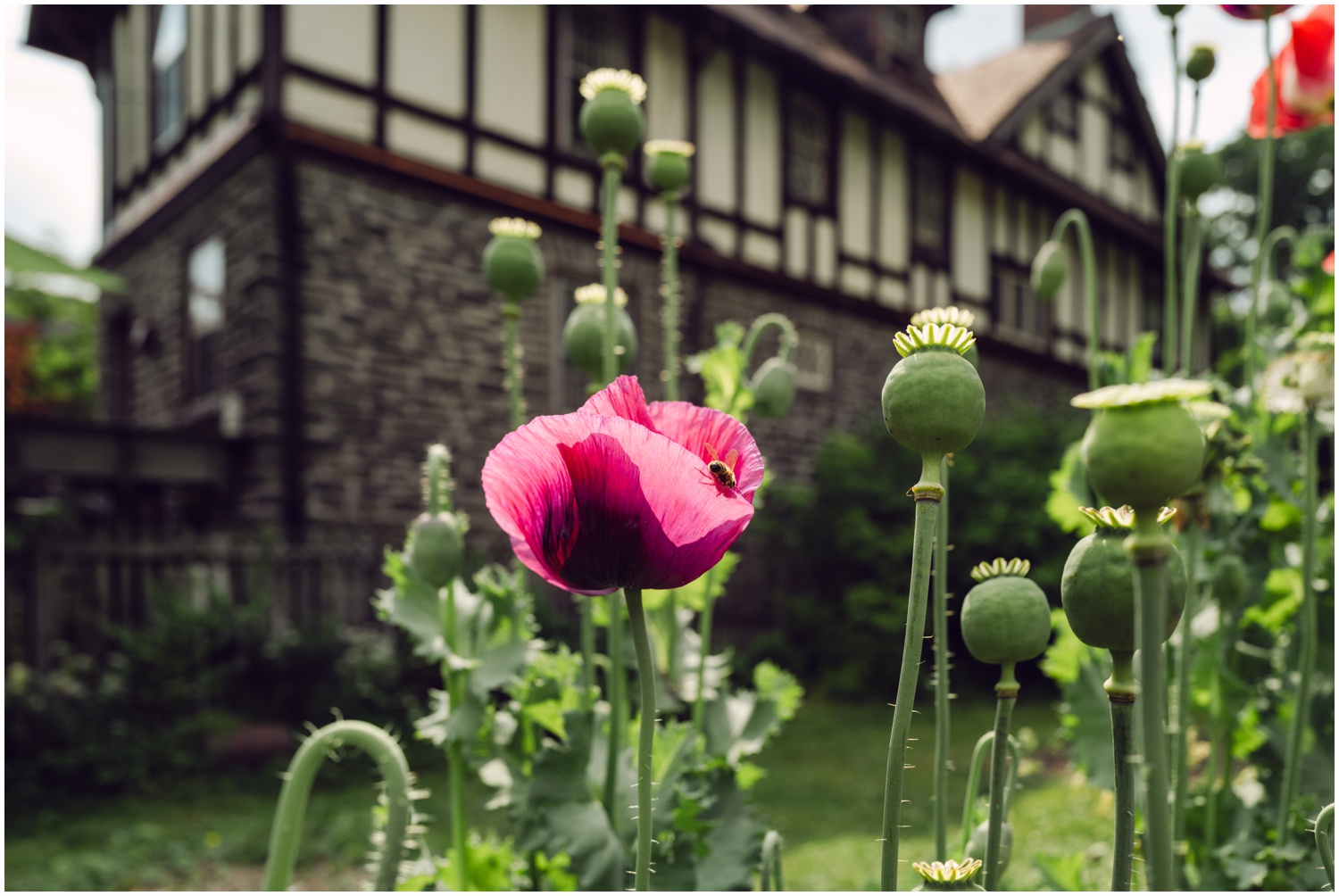 Garden Party Wedding at Wyck House | Heather McBride Photography | Blog